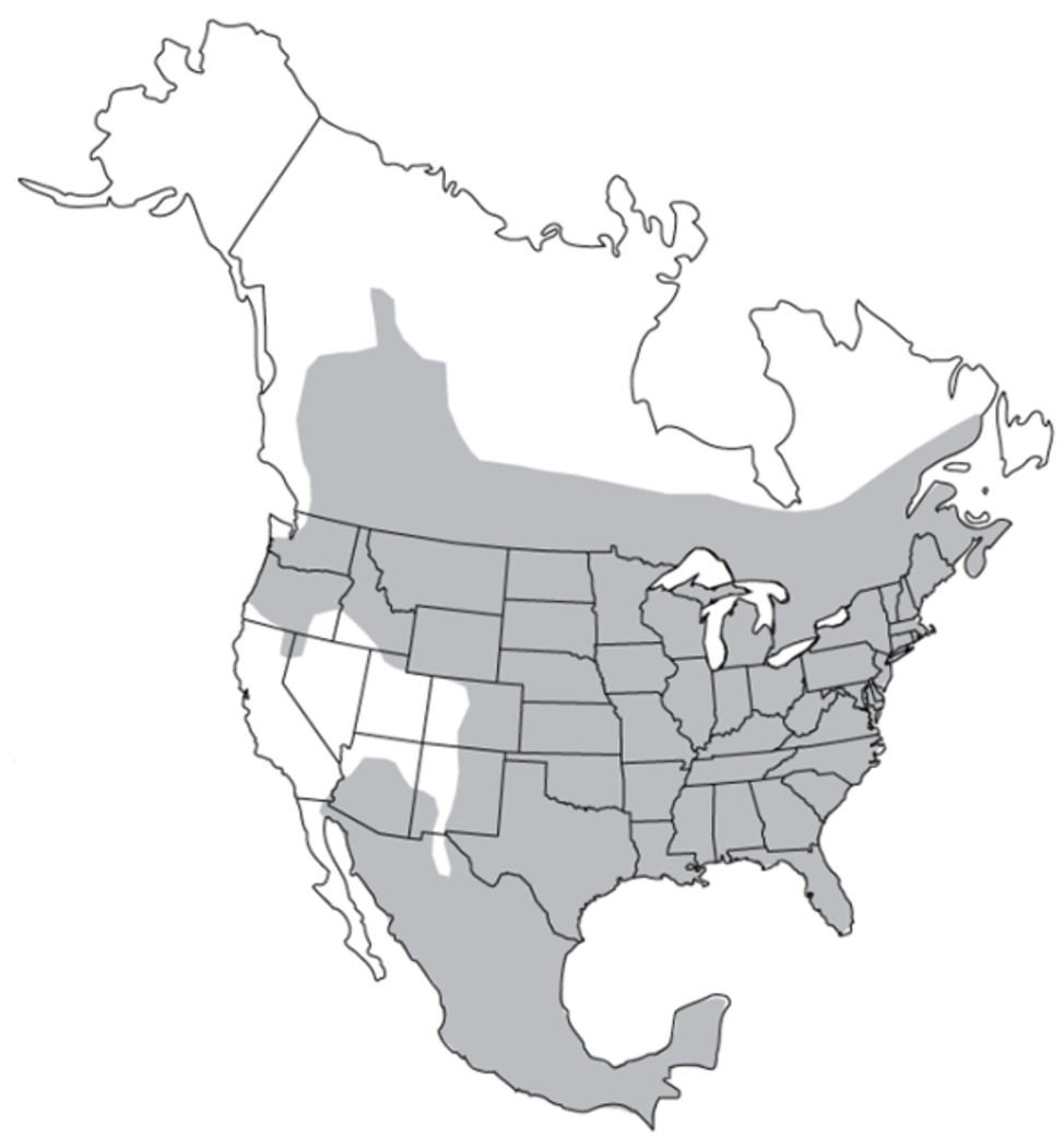 Deer | Internet Center for Wildlife Damage Management