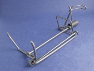 Mole Damage Prevention and Control Methods | Internet Center for ...