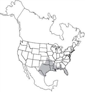 Armadillos | Internet Center for Wildlife Damage Management
